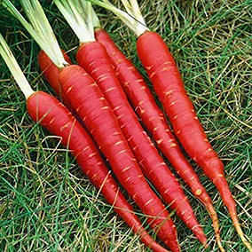 Buy Fresh Fruits and Vegetables Online in Islamabad - Farm To Home